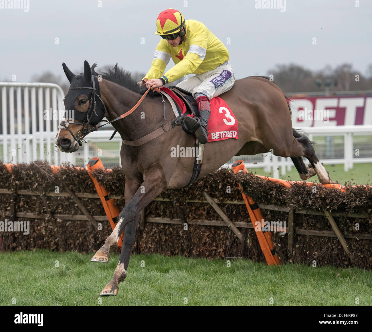 Sandown park hi-res stock photography and images - Alamy