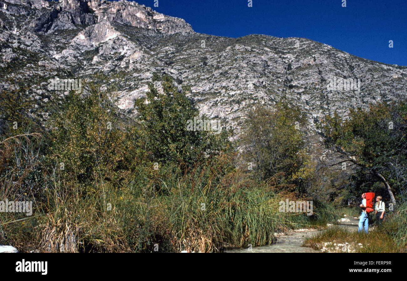 Big Bend, a region within Big Bend National Park, offers a remarkable ...