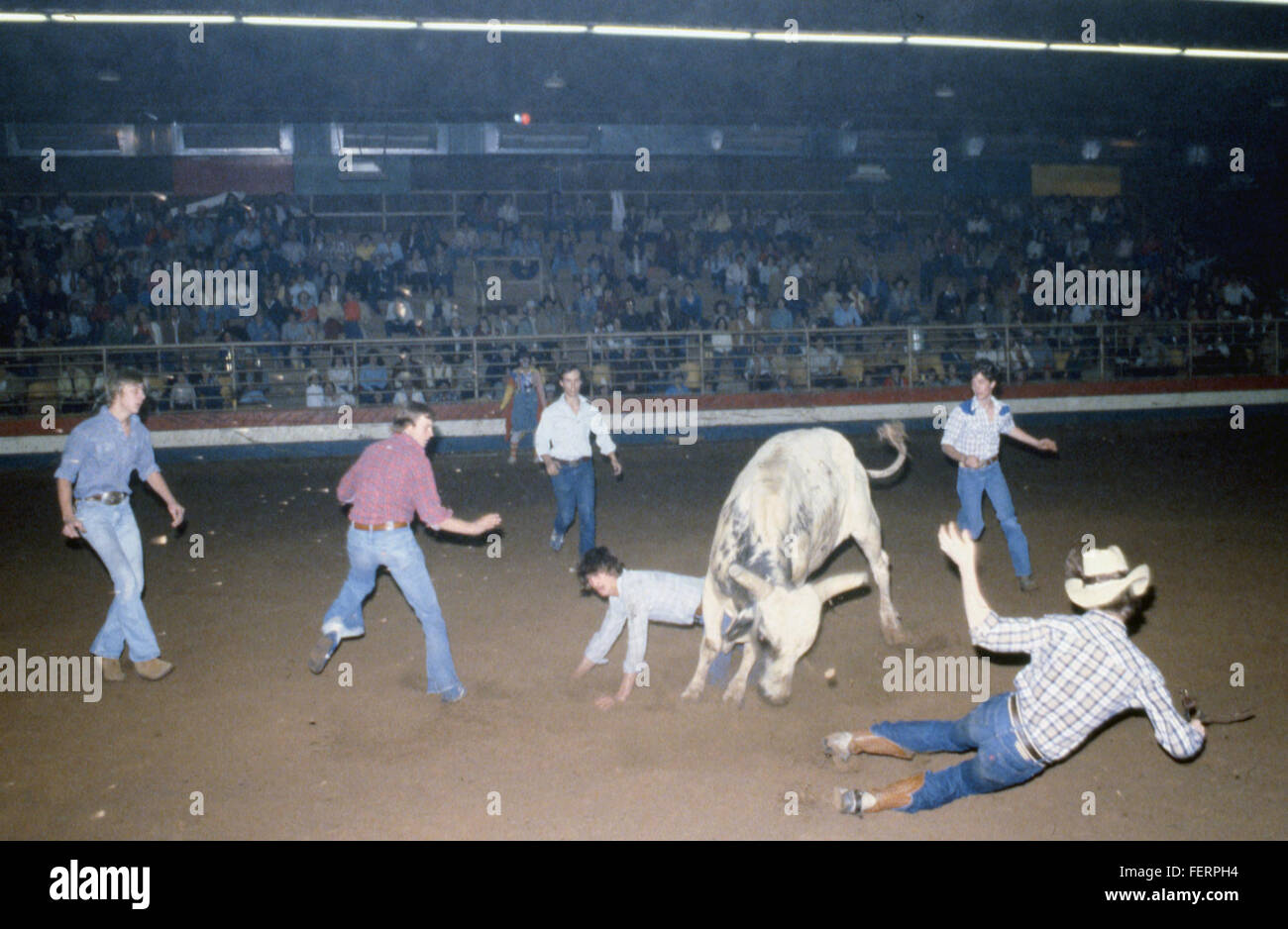 A photograph of the Houston Rodeo, showcasing the excitement and energy ...