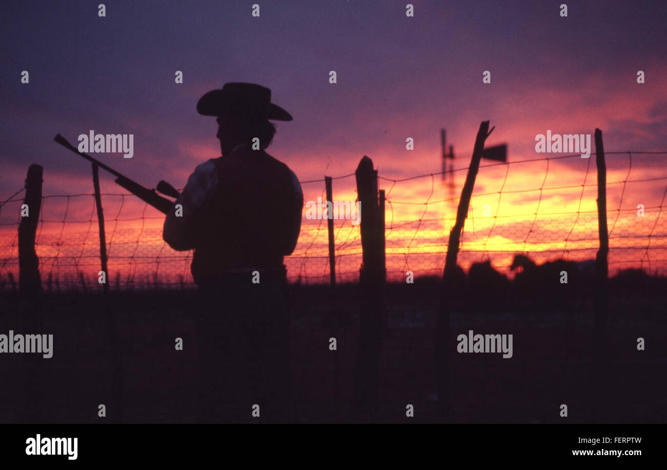 RNK Ranch, located in a rural area, is a working ranch known for its ...