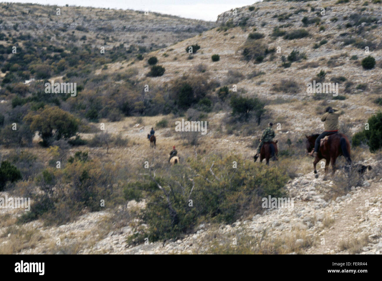 Farming and animal welfare standards hi-res stock photography and ...