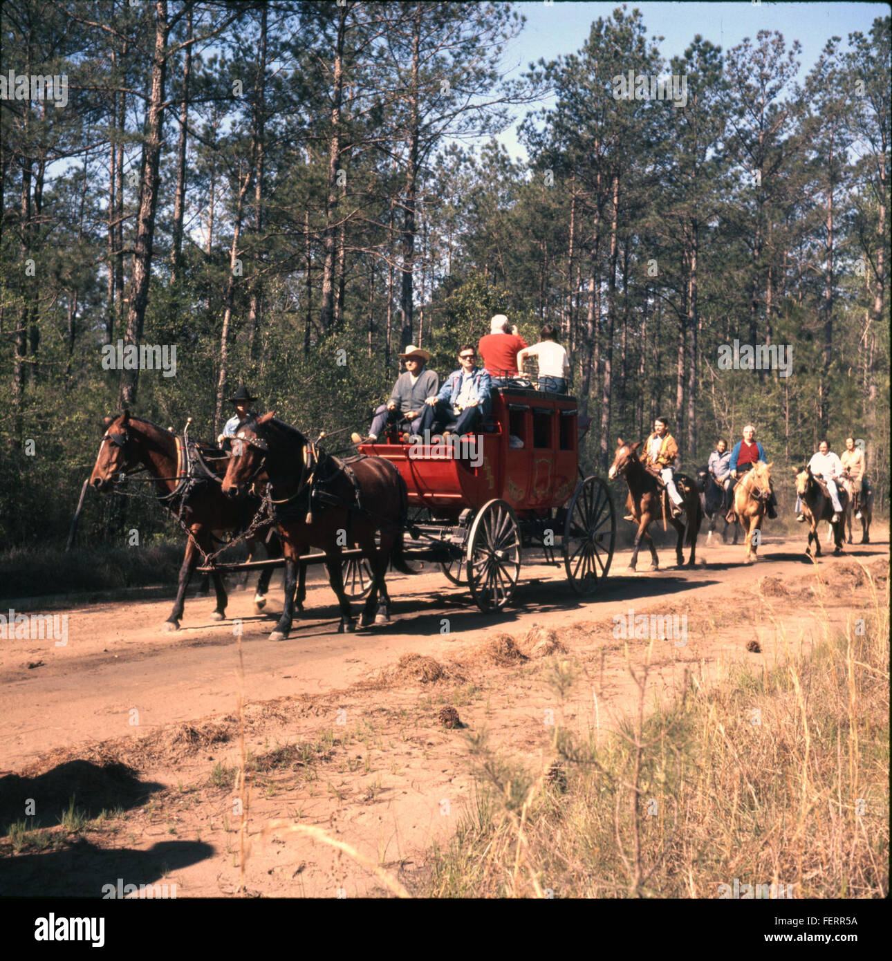Riding through the big thicket, east Texas, DDD Ranch, Warren, Texas ...