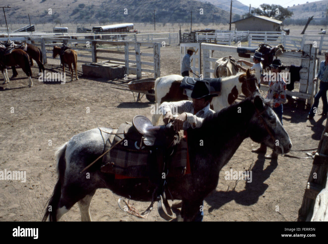 Vintage horse ranch hi-res stock photography and images - Alamy