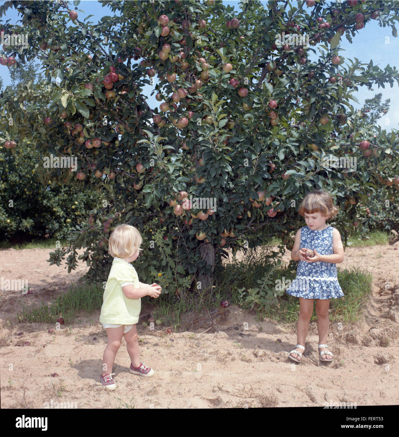 An image from Fredericksburg, Texas, depicting the traditional ...