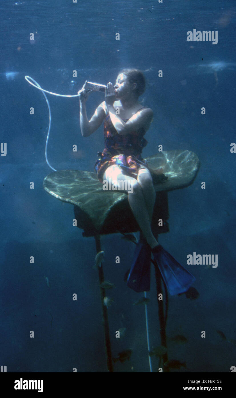 Aquarena High Resolution Stock Photography and Images - Alamy