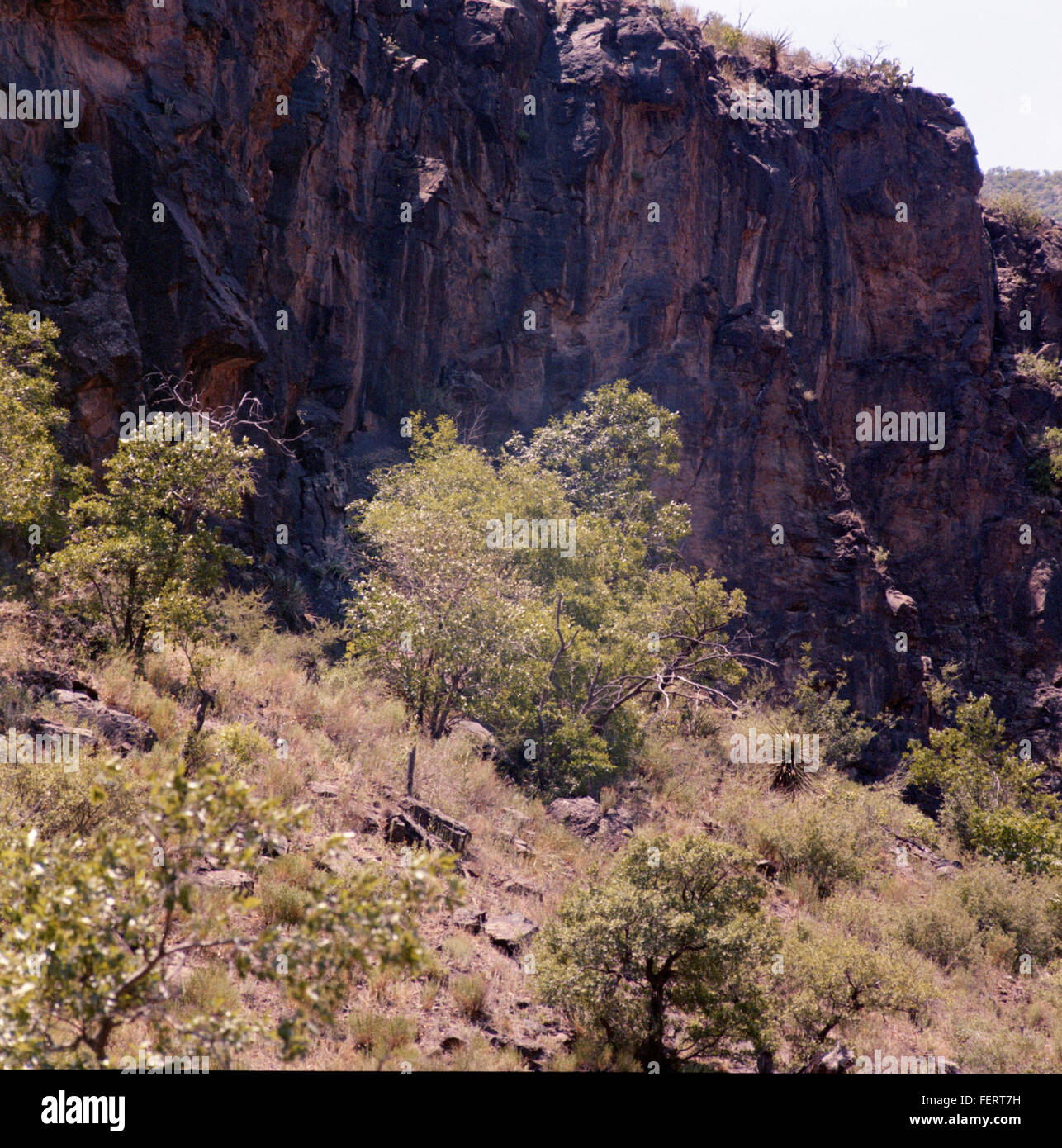 Pecos Area Stock Photos & Pecos Area Stock Images - Alamy