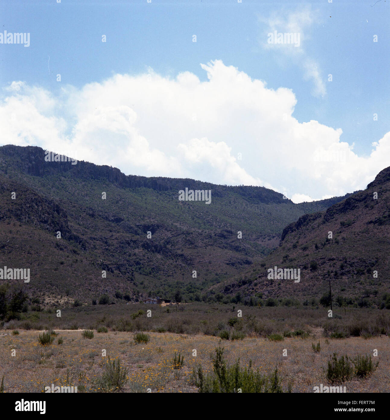 Pecos Area Stock Photos & Pecos Area Stock Images - Alamy