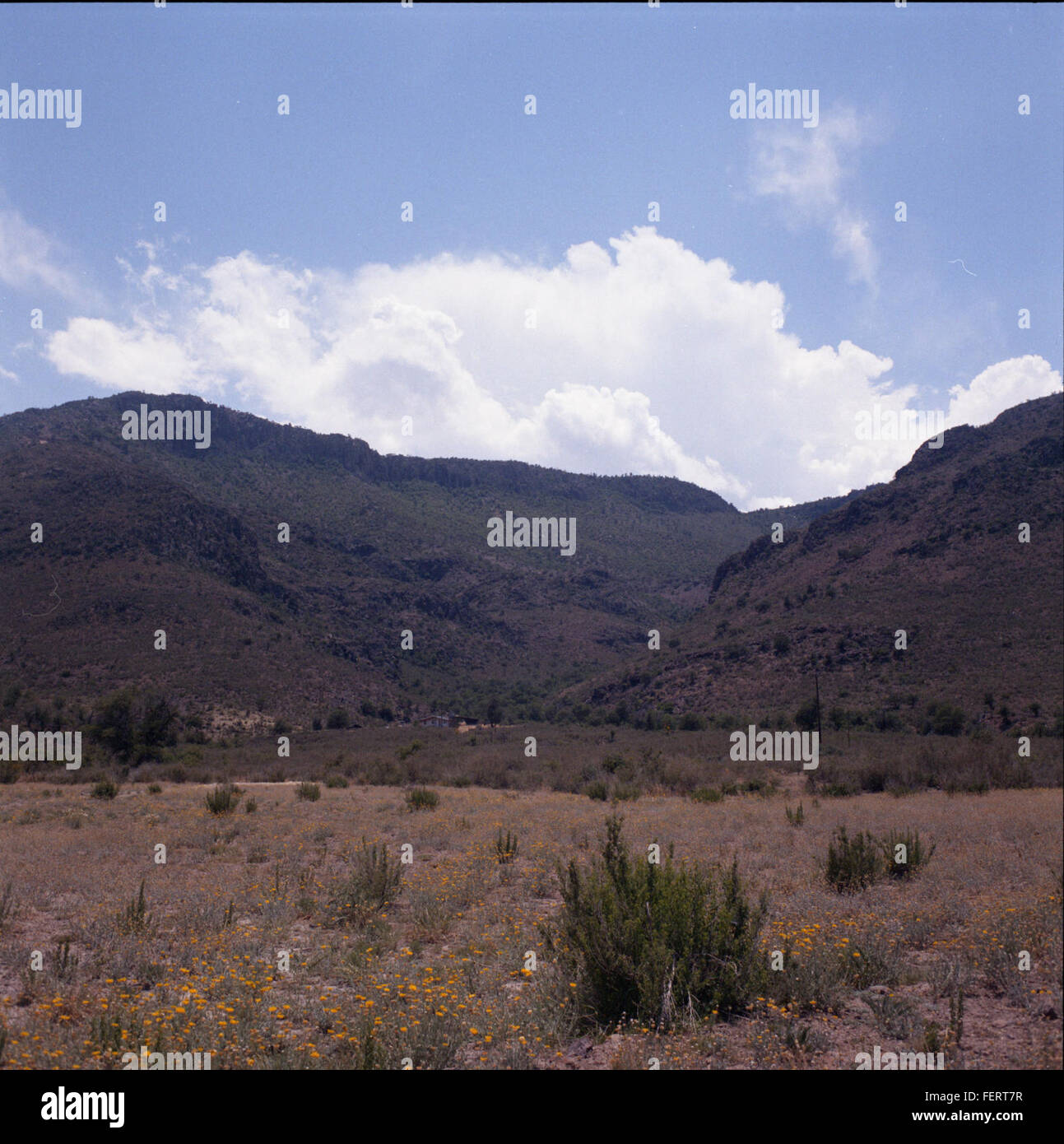 Pecos Area, general photographs with mountains, 1970 pecos Stock Photo ...