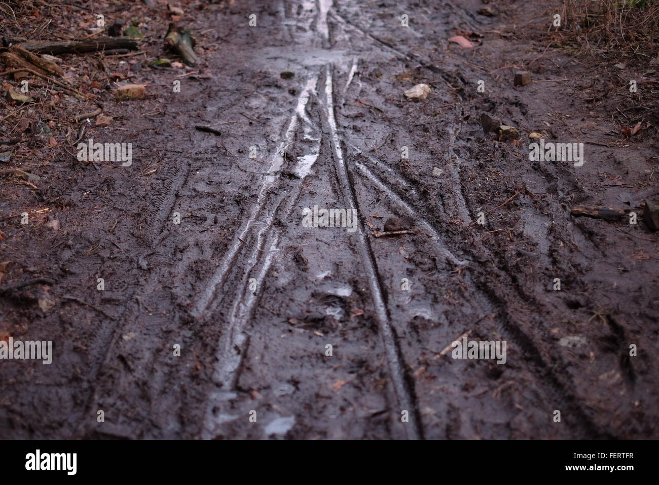 Wet dirt track hi-res stock photography and images - Alamy