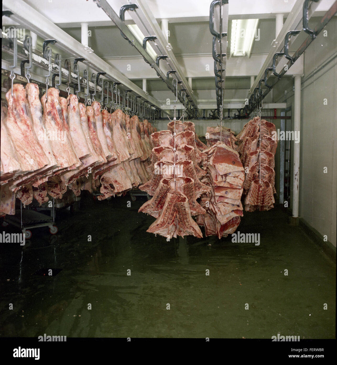 Precision portioning hi-res stock photography and images - Alamy