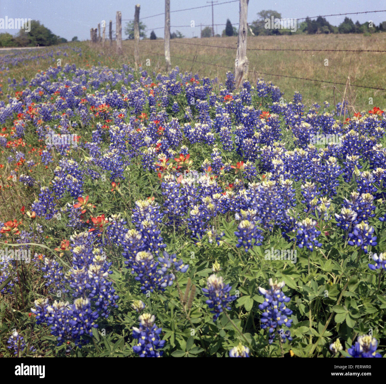 A scenic view of Central Texas taken in 1974, showcasing the natural ...