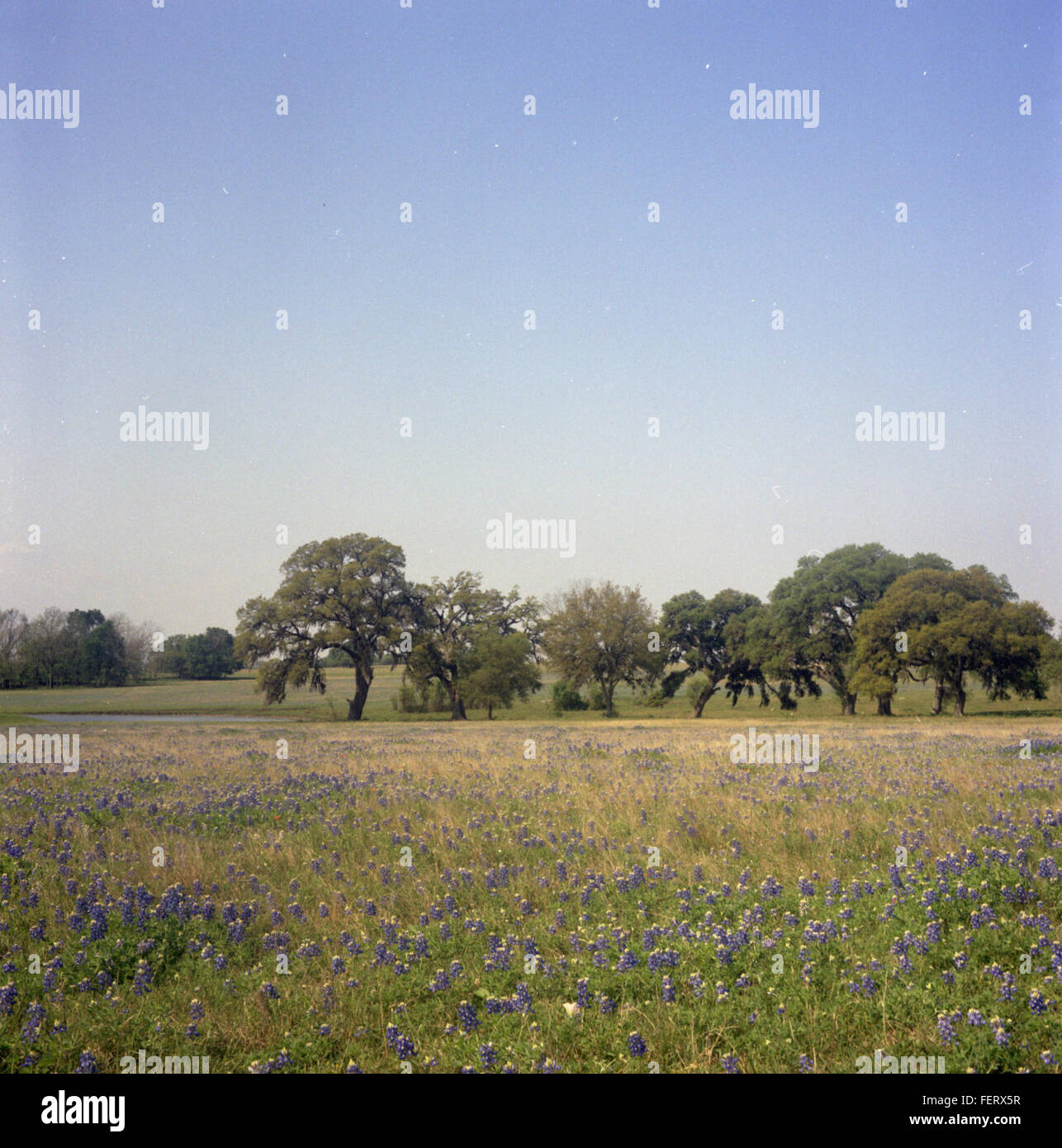 This image captures scenic views from central Texas in 1974 ...
