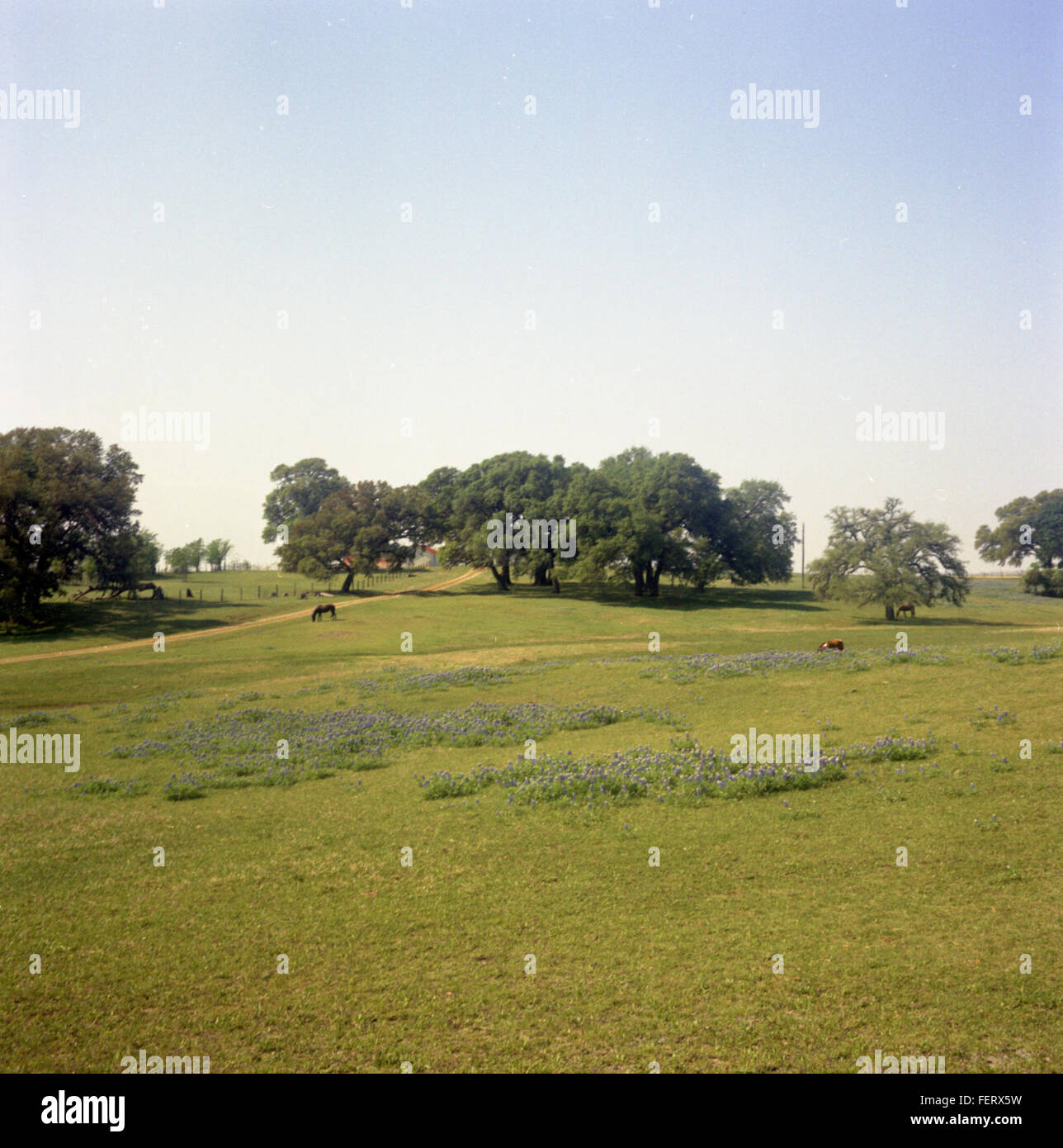 A collection of scenic views from Central Texas in 1974, showcasing the ...