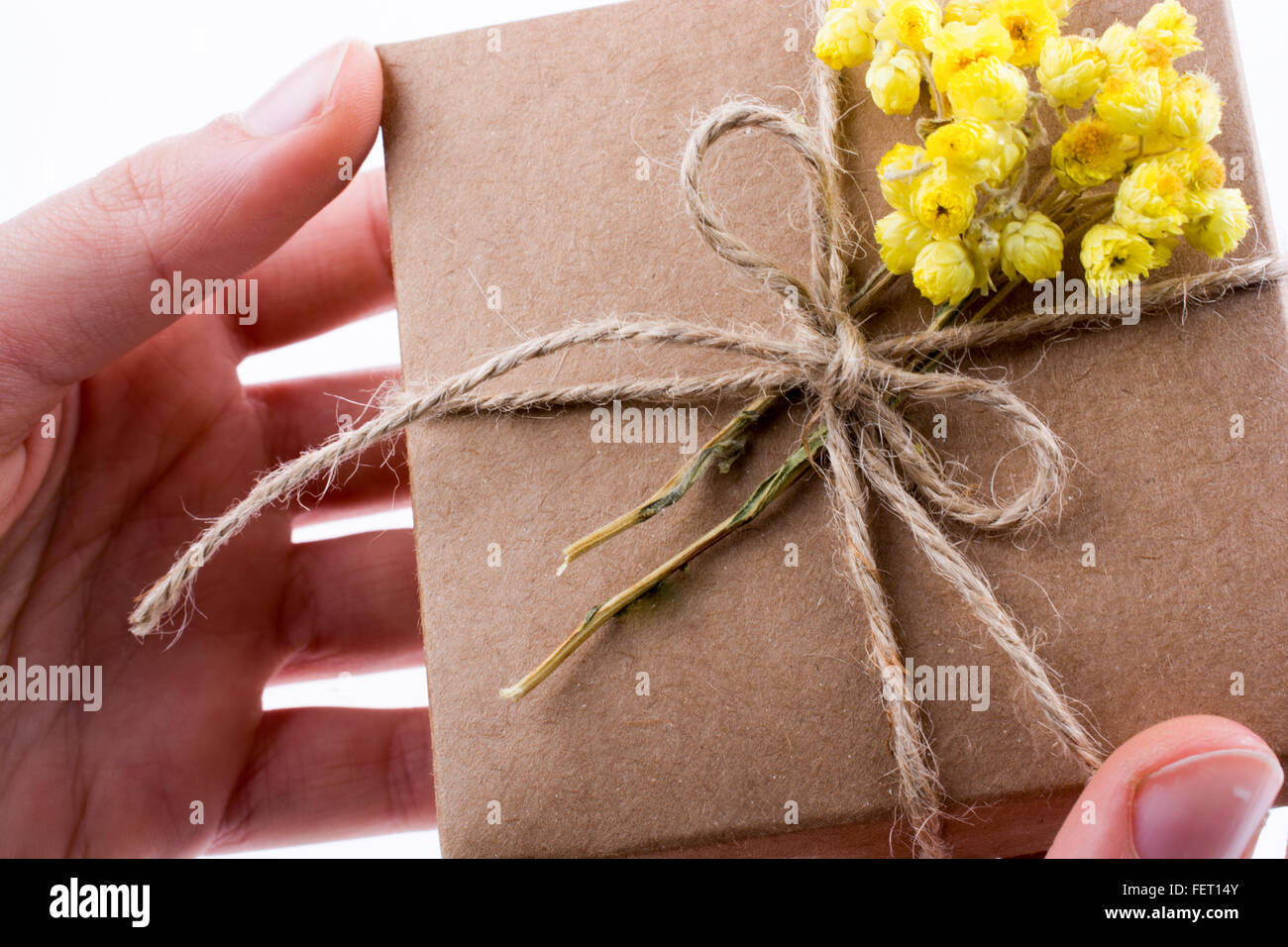 Wrapped gift box with yellow flower in hand on white background Stock ...