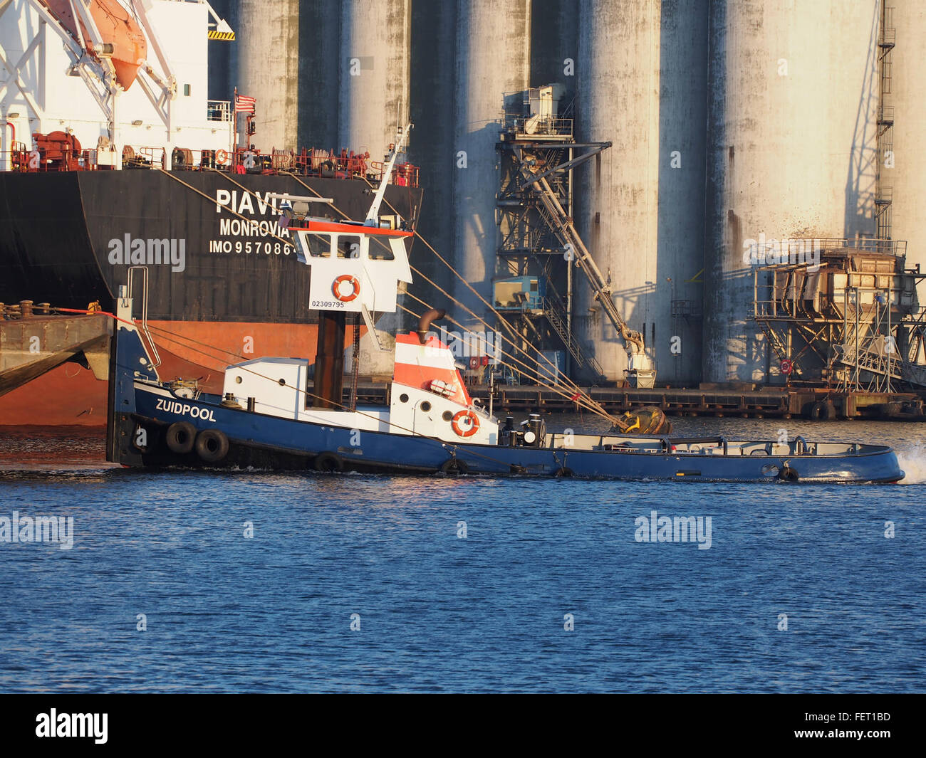 Zuidpool hi-res stock photography and images - Alamy