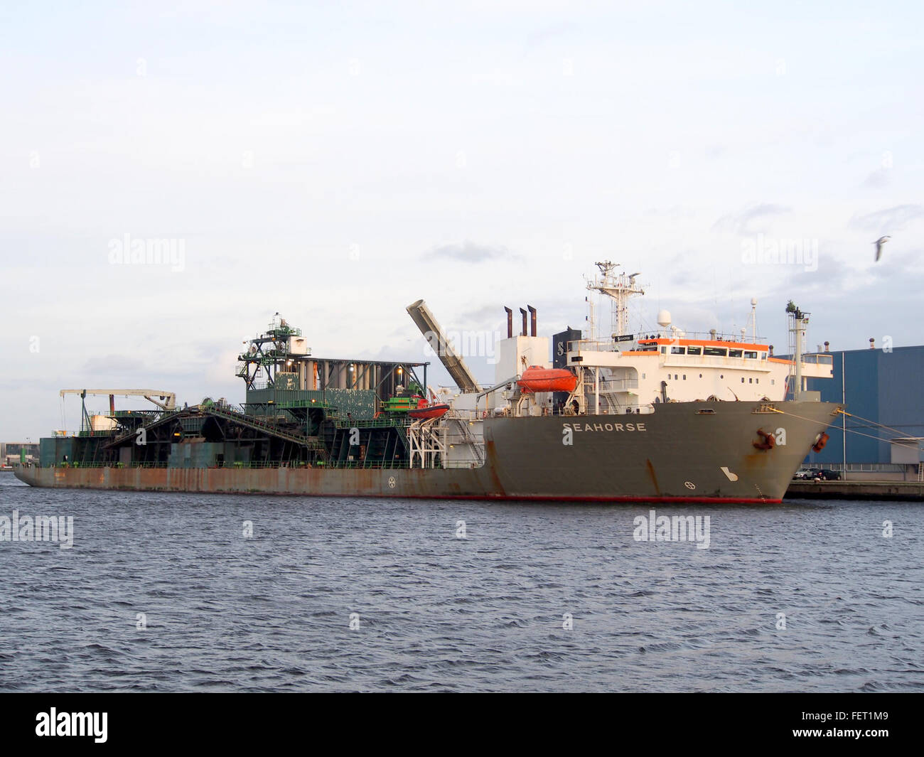 Seahorse (ship, 1983) IMO 8213744 Port of Amsterdam Stock Photo - Alamy