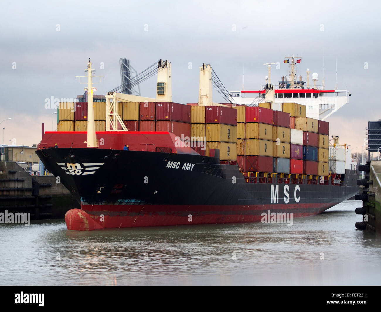 Msc amy ship hi-res stock photography and images - Alamy
