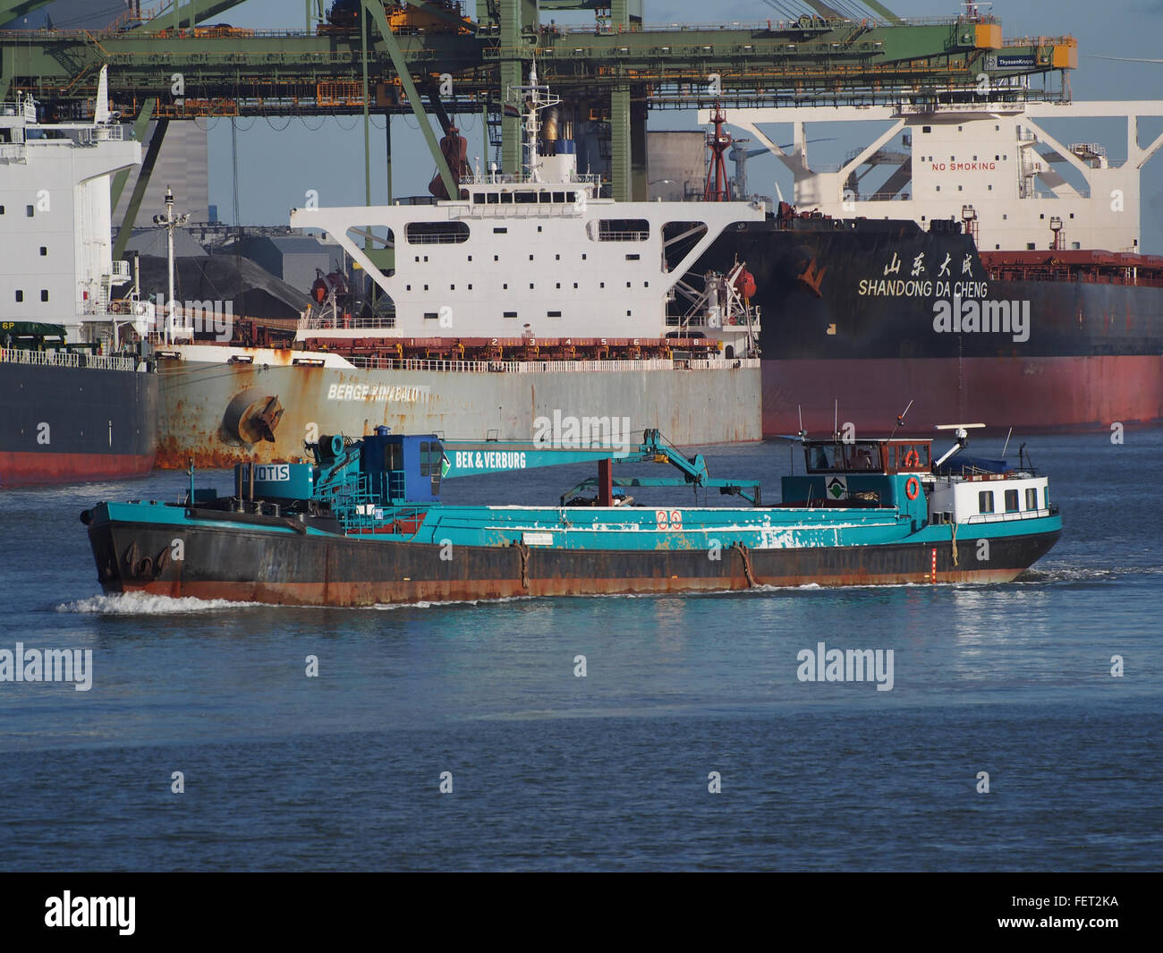 Invotis (ship, 1960) ENI 02310799 Port of Rotterdam Stock Photo - Alamy