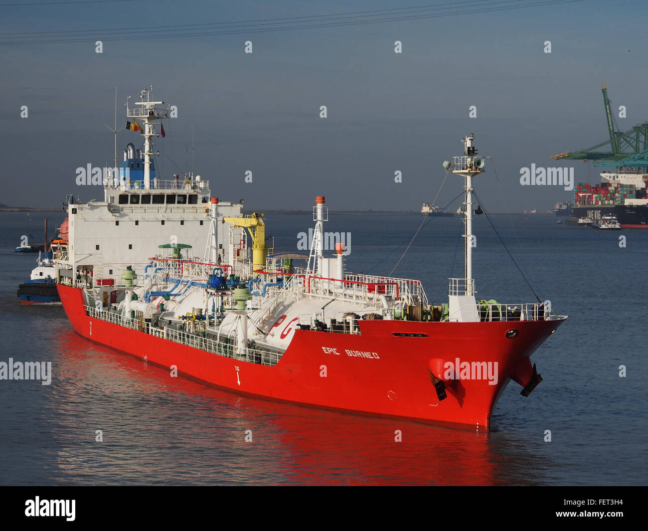 Epic Borneo (ship, 2010) IMO 9519535 Berendrechtlock Port of Antwerp ...