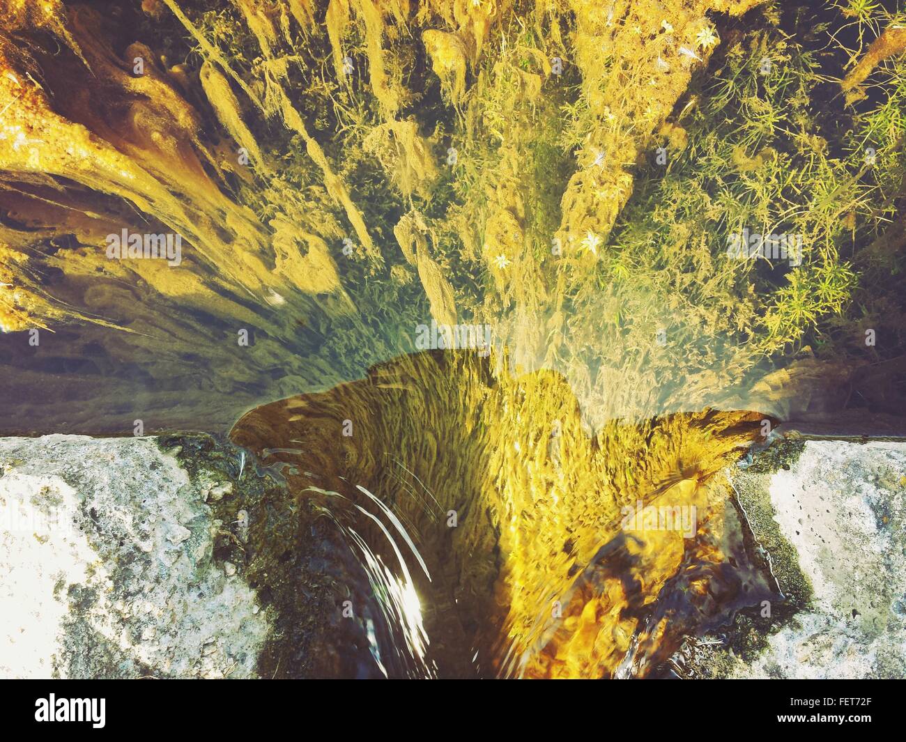 Reflection on water hi-res stock photography and images - Alamy