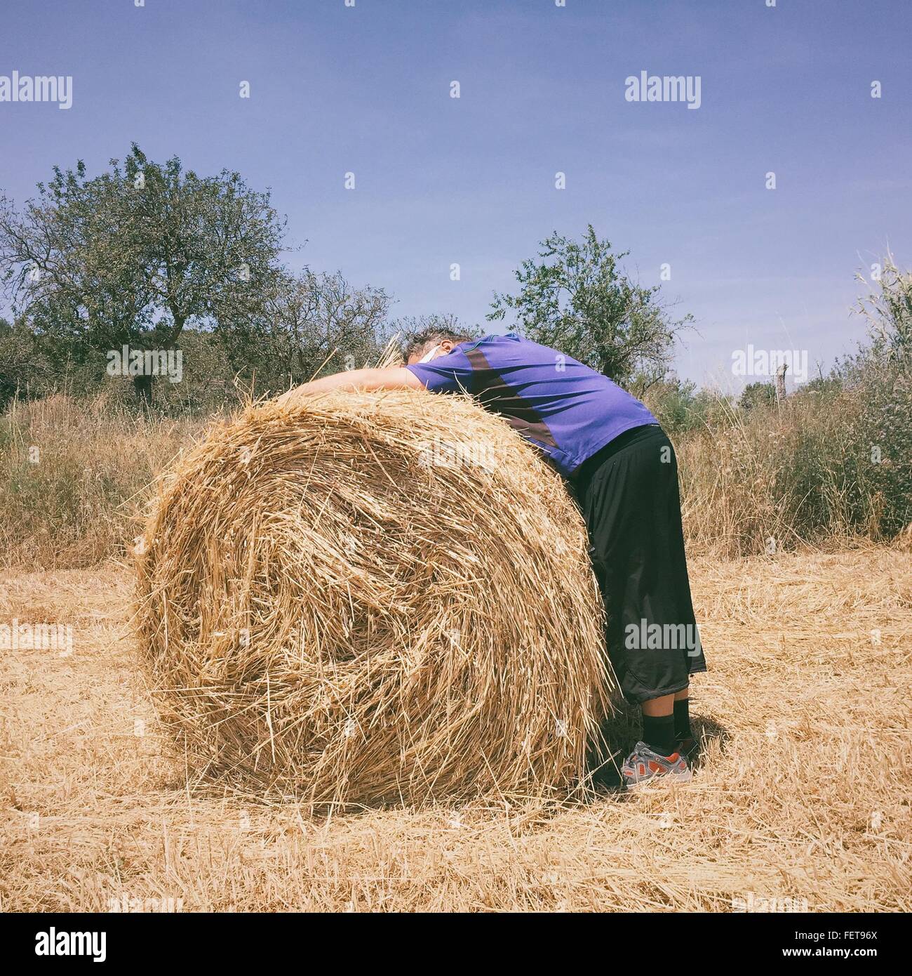 Square hay bale hi-res stock photography and images - Alamy