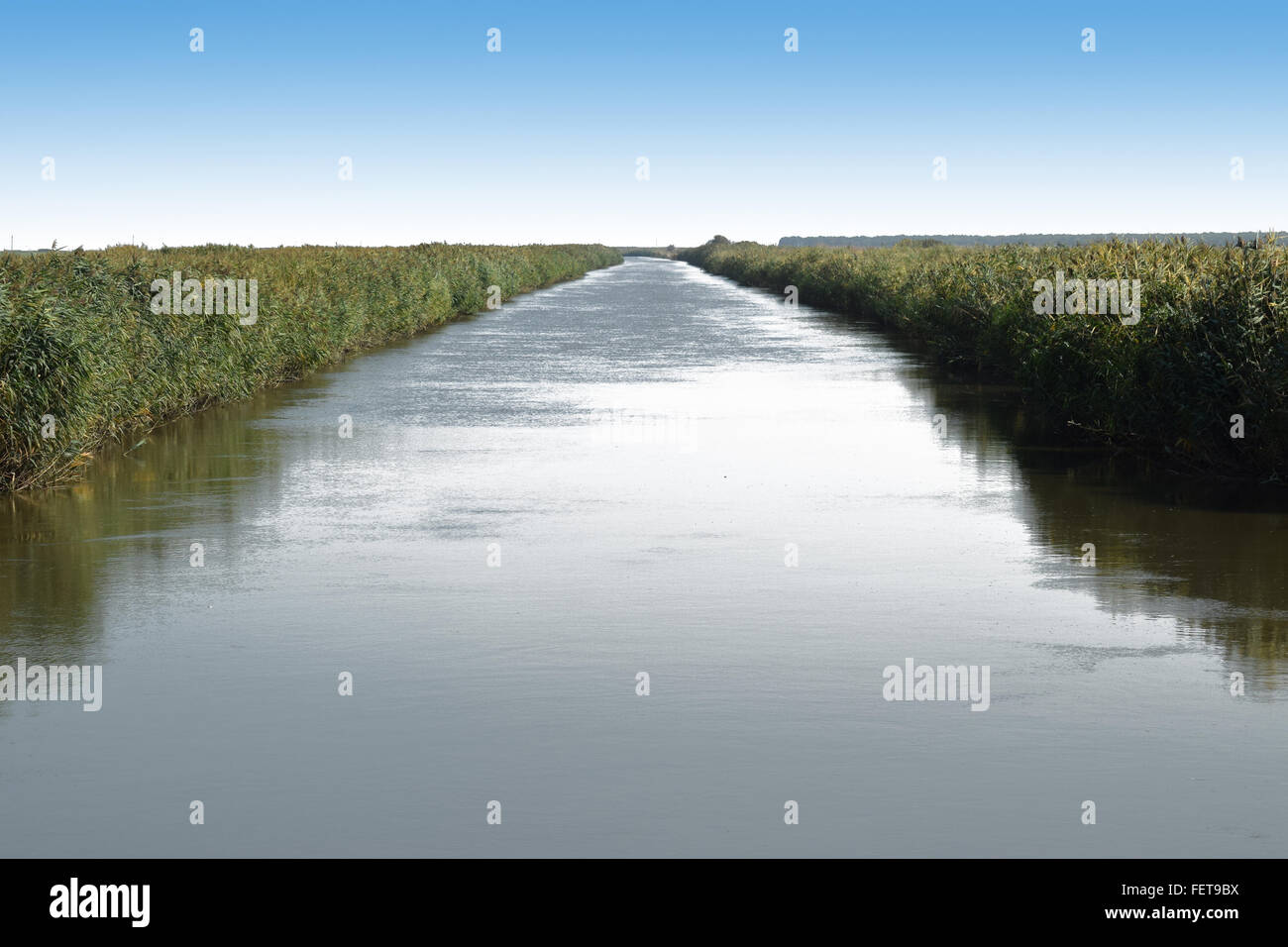 The main irrigation rice fields irrigation channel. Agricultural ...