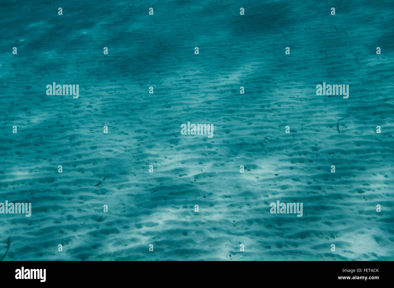 Atlantic ocean floor hi-res stock photography and images - Alamy