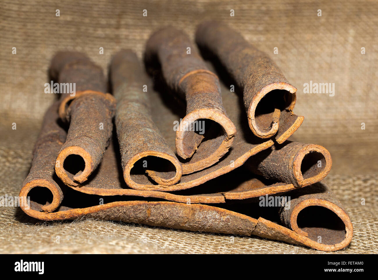 Chinese cassia or Chinese cinnamon (Cinnamomum cassia Stock Photo - Alamy