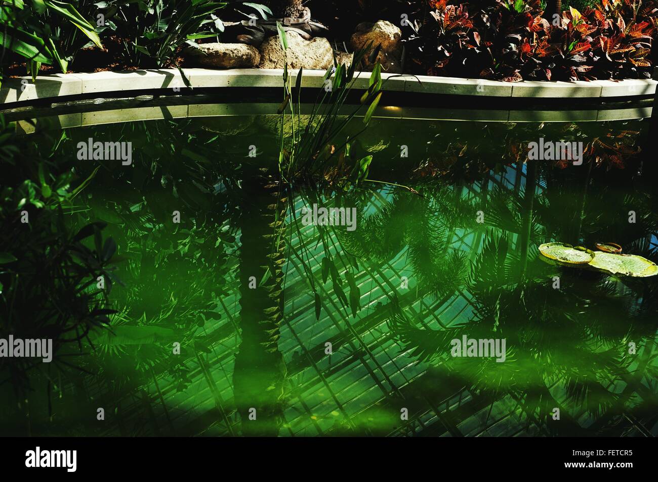 Reflecting ceiling hi-res stock photography and images - Alamy