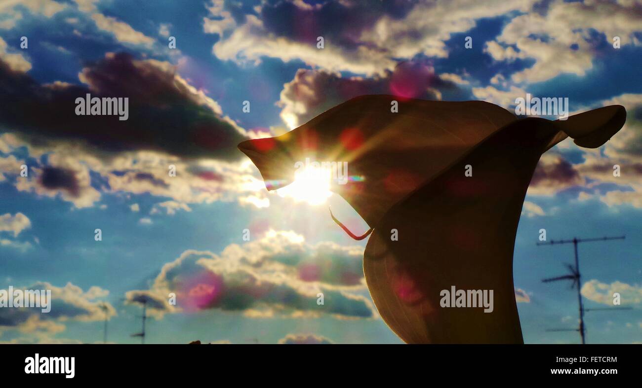 Silhouette Of Modern Art Sculpture Stock Photo - Alamy