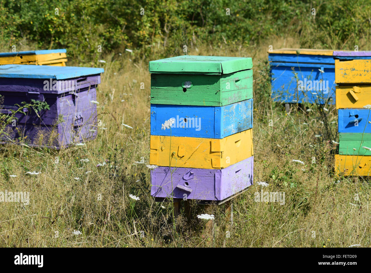 Beehives in small village hi-res stock photography and images - Alamy