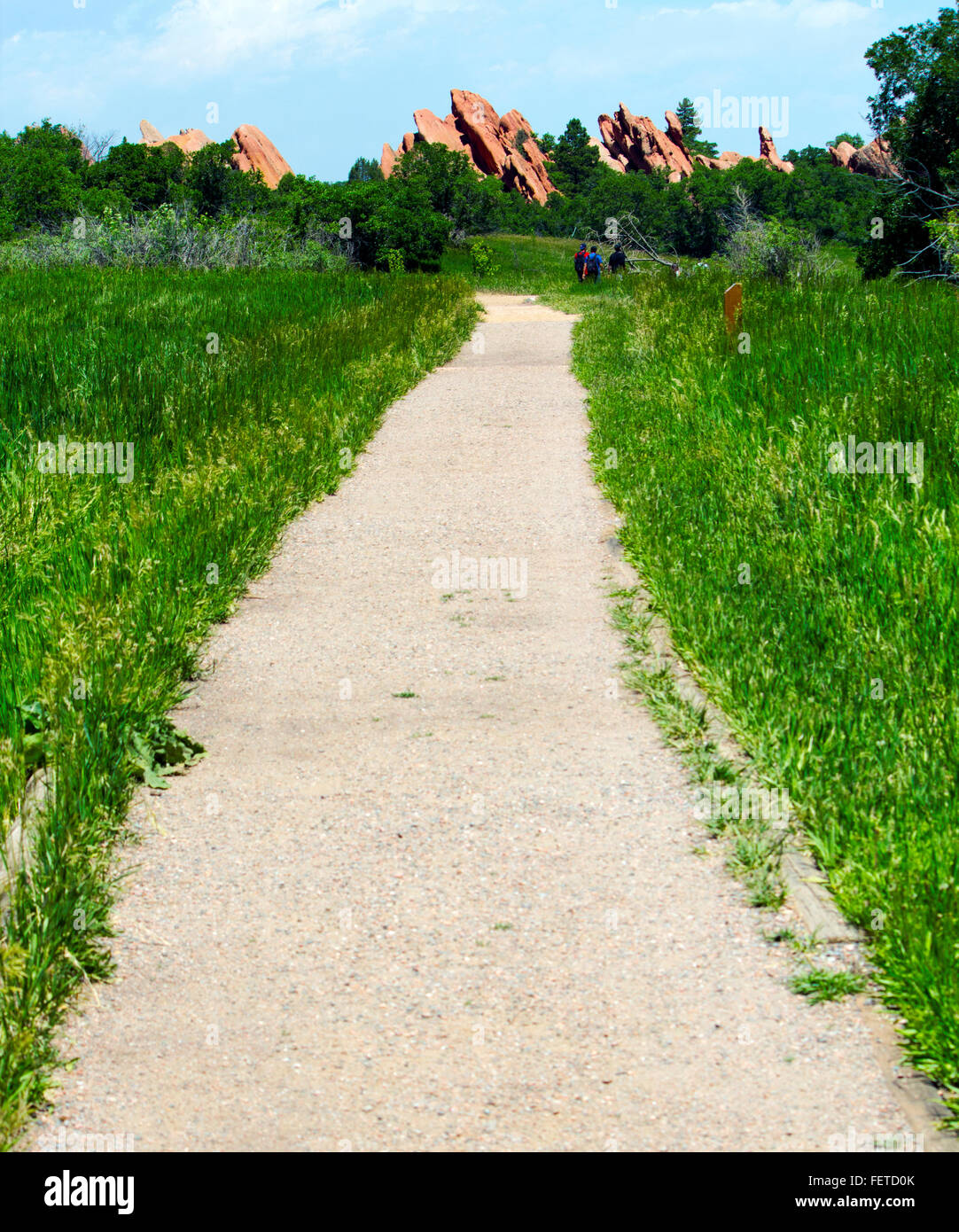 Long Road: A long road towards mountains, surrounded by green grass and ...