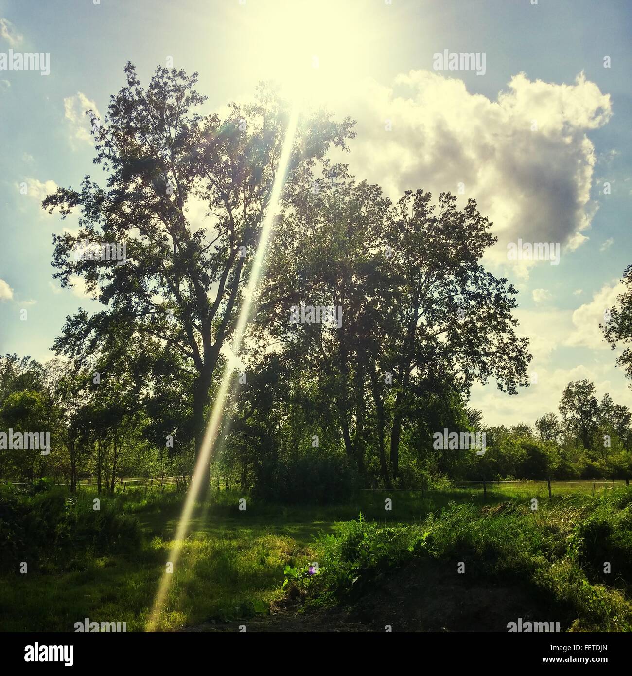 Bright sunshine landscape hi-res stock photography and images - Alamy