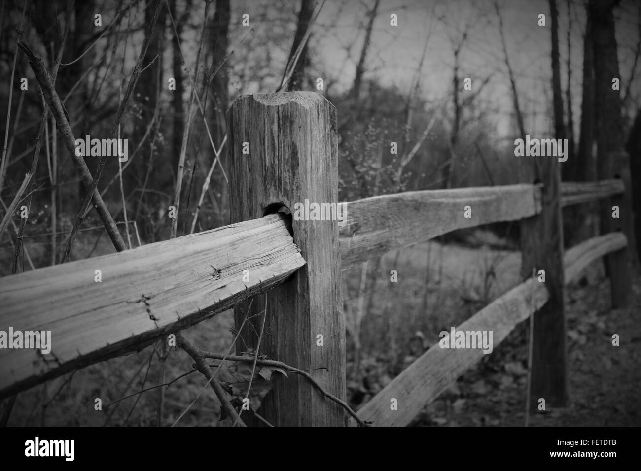 Farm fence line Black and White Stock Photos & Images - Alamy