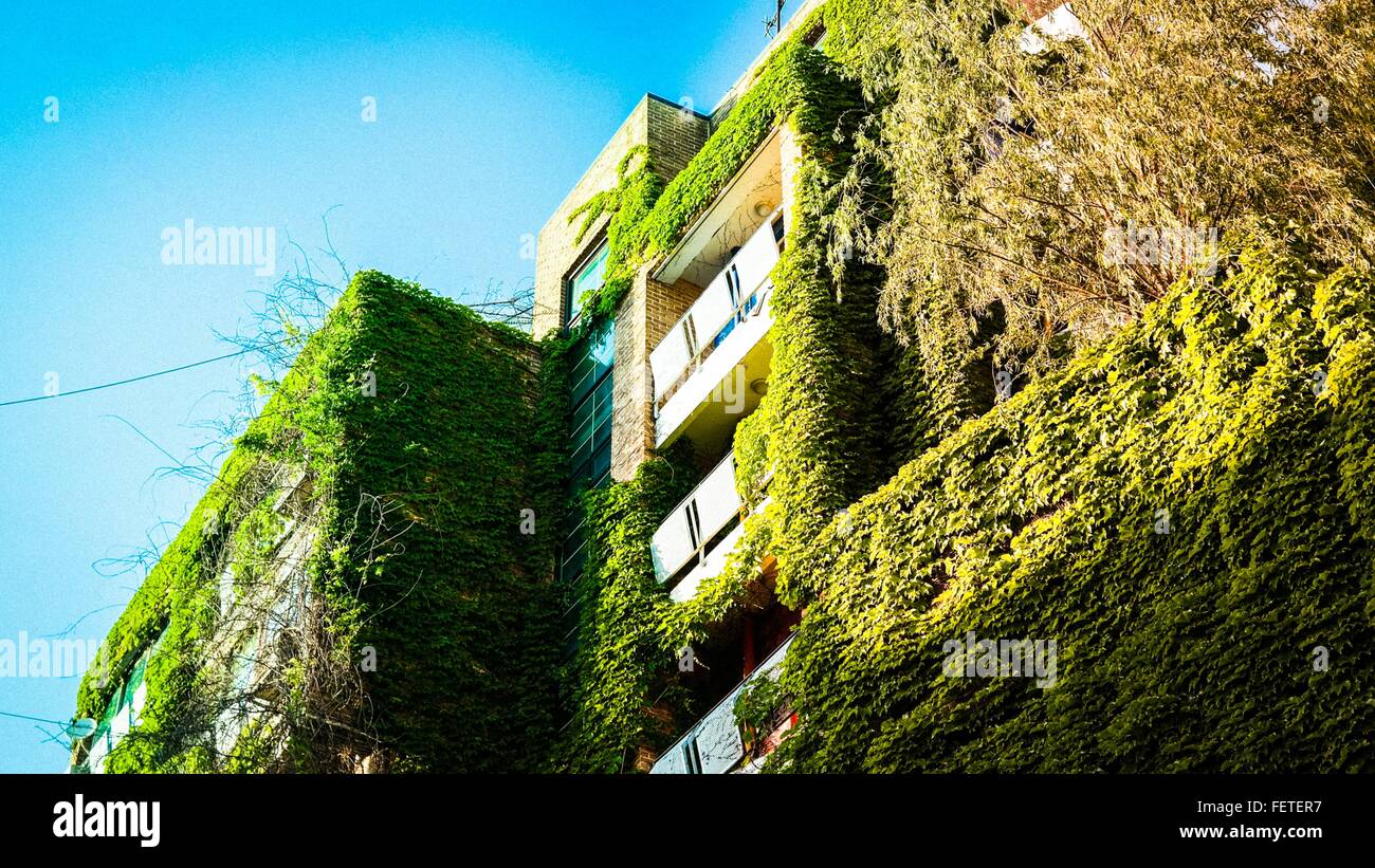 The green clad hi-res stock photography and images - Alamy