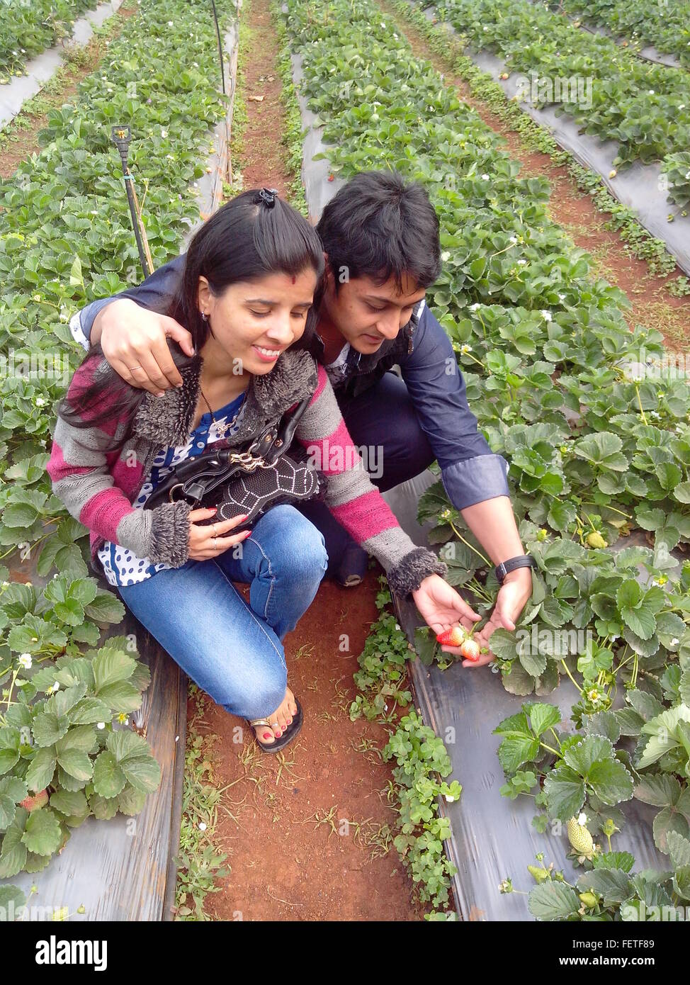Two women plucking some hi-res stock photography and images - Alamy