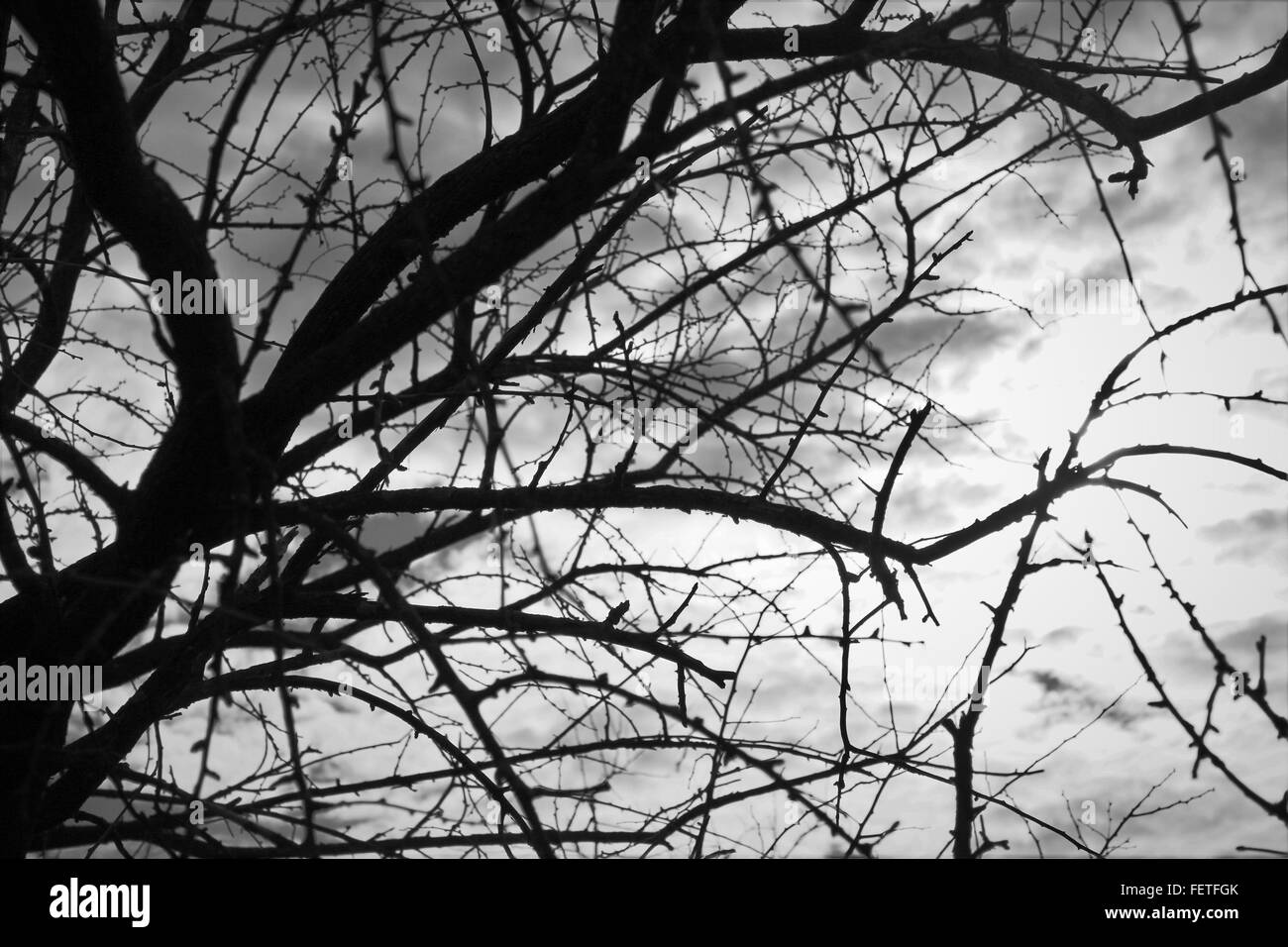 Partially obstructed stormy sky Stock Photo - Alamy