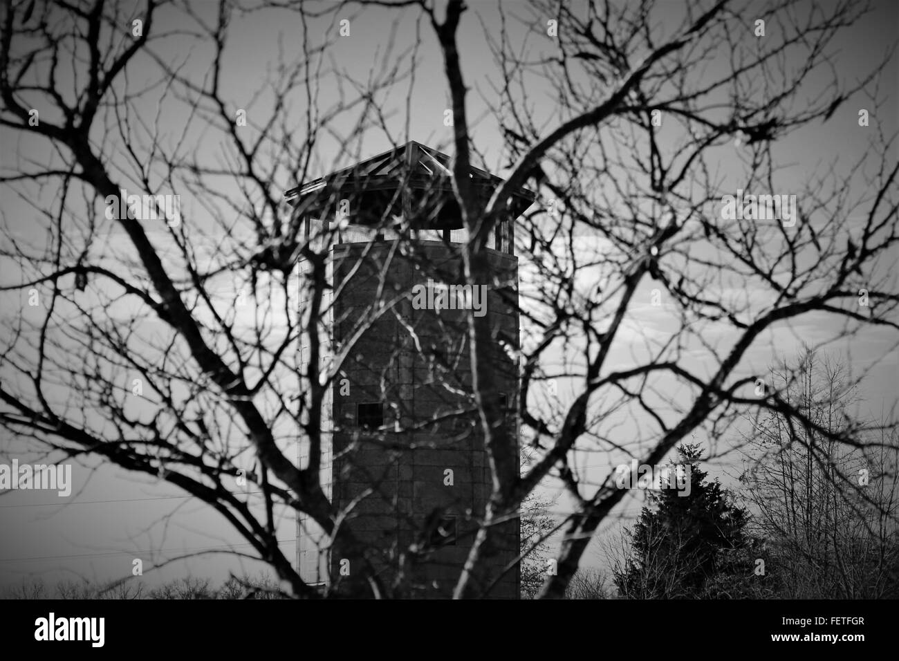partially obstructed picture of an observation tower Stock Photo - Alamy