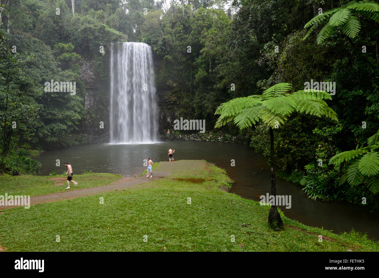 Milla Milla Falls, Atherton Tablelands, Queensland, Australia Stock ...