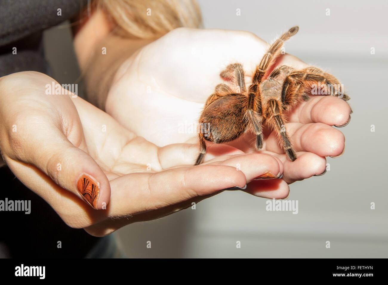 Spider Hands Stock Photos & Spider Hands Stock Images - Alamy
