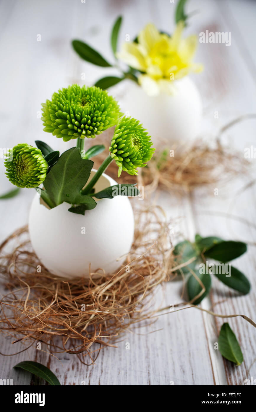 Egg shells in nest hi-res stock photography and images - Alamy