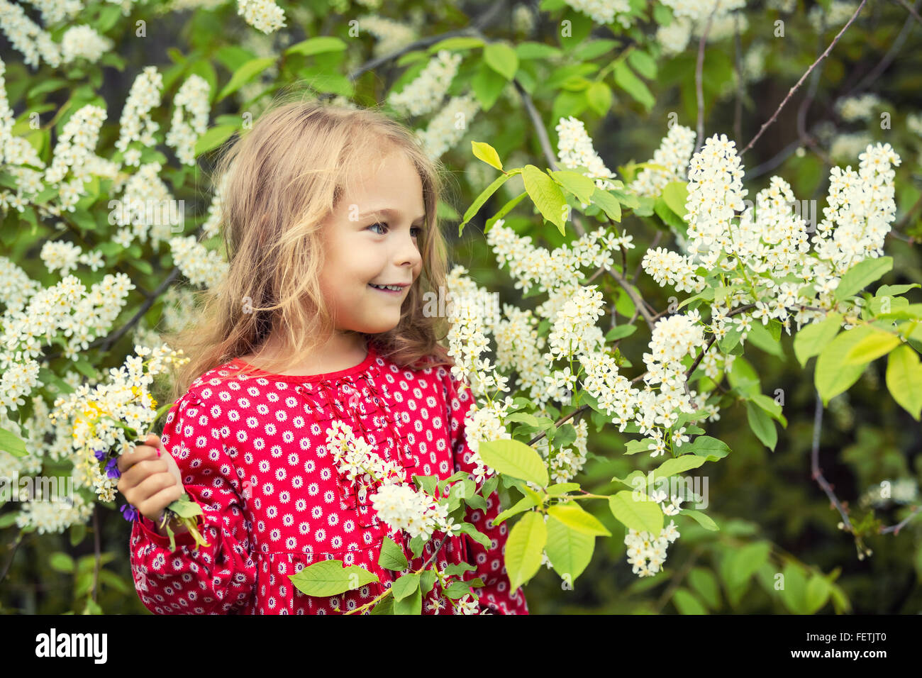 Little girl in spring flowers Stock Photo - Alamy