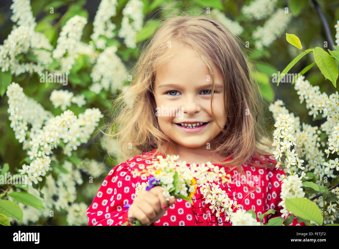Little girl in spring flowers Stock Photo - Alamy