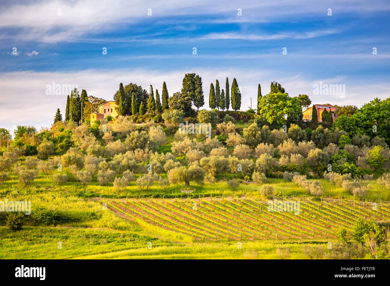 Tuscany at spring Stock Photo - Alamy