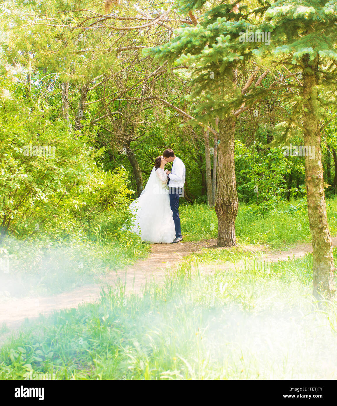 Wedding, Beautiful Romantic Bride and Groom Kissing and Embracing Stock ...