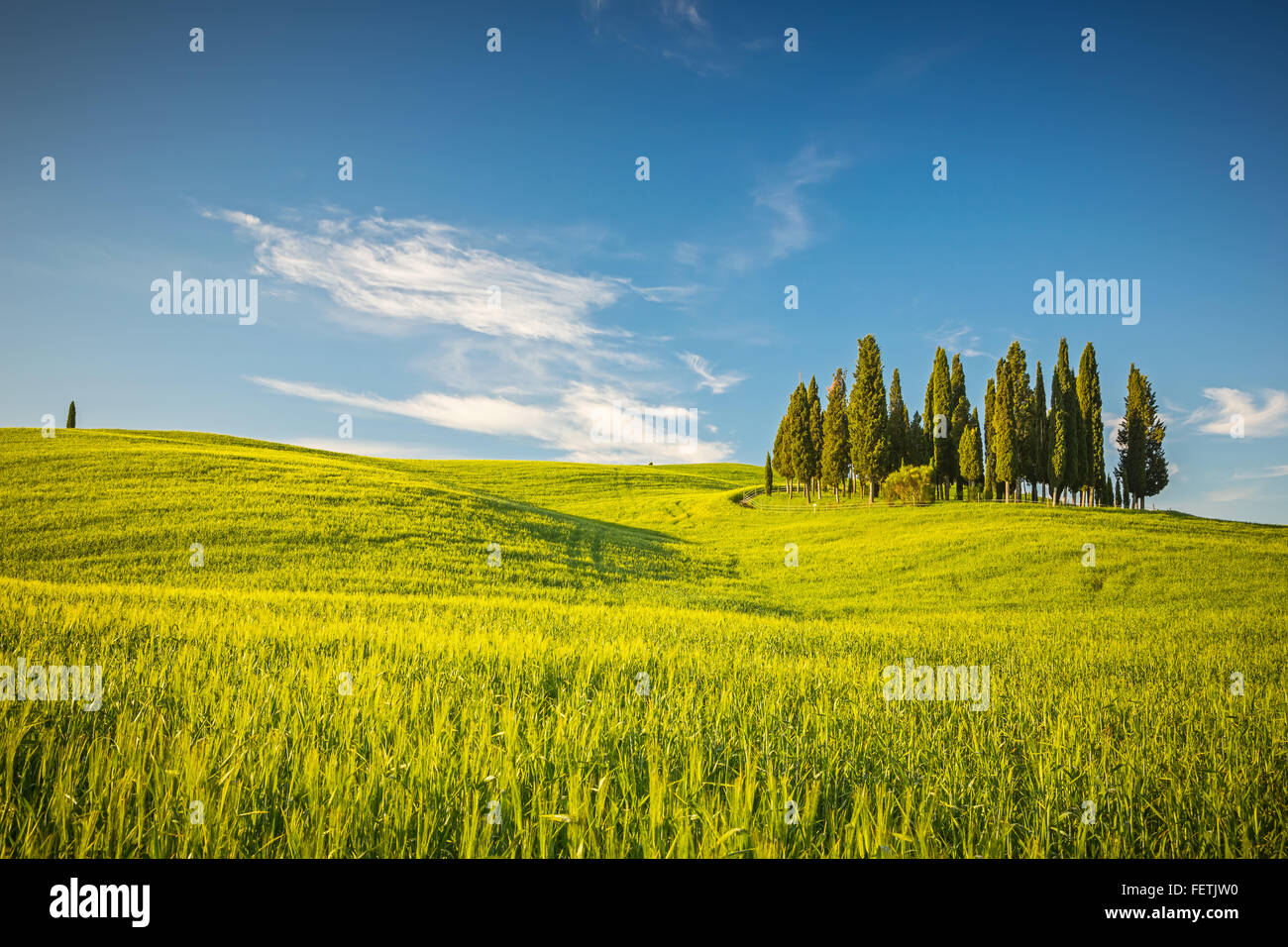 Tuscany at spring Stock Photo - Alamy
