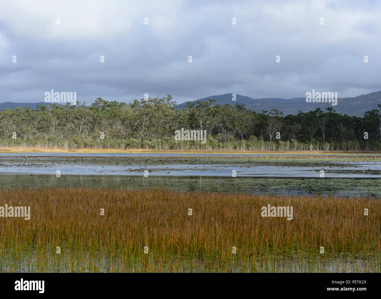Mareeba Wetlands, Atherton Tablelands, Queensland, Australia Stock ...