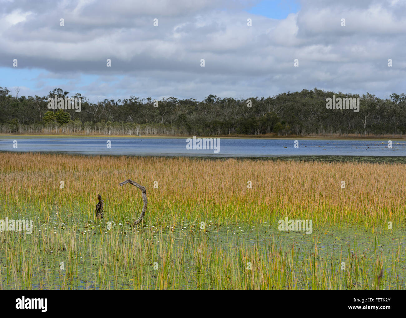 Mareeba Wetlands High Resolution Stock Photography and Images - Alamy