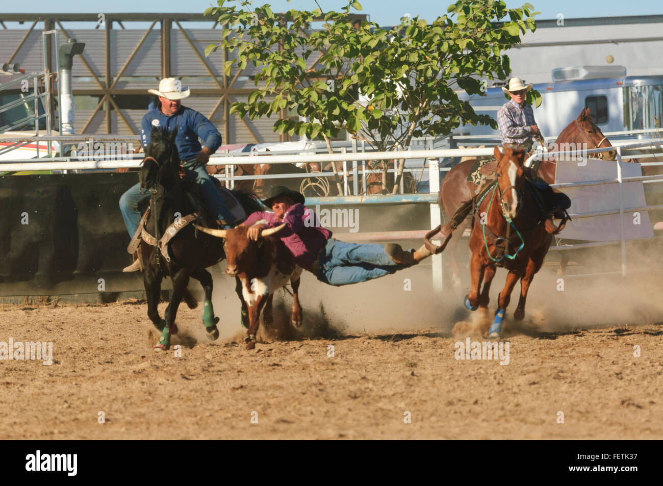 Men roping hi-res stock photography and images - Alamy