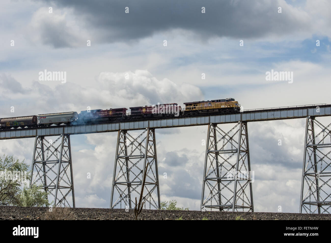 Crossing Trains Trestles